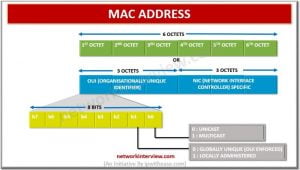 How to Identify the MAC Address of a Port? » Network Interview