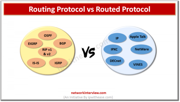Routing Protocol vs Routed Protocol » Network Interview Routing Protocol vs Routed Protocol » Network Interview