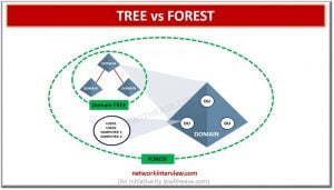 Difference between Tree and Forest in Active Directory » Network Interview