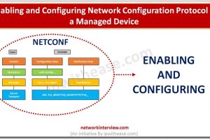 NETWORK BRIDGE vs REPEATER : Detailed Comparison - Network Interview