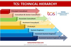 Business Process Manager - Job Roles & Responsibilities » Network Interview