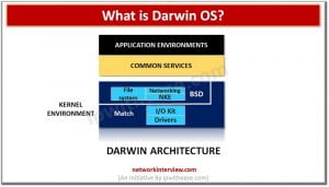 What is Darwin OS? » Network Interview
