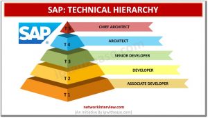 SAP Technical Hierarchy » Network Interview