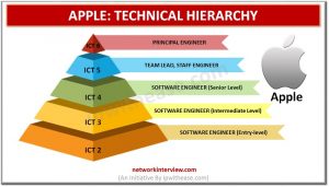Apple Inc.: Technical Hierarchy » Network Interview