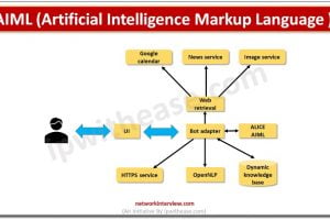 Microsoft Technical Hierarchy: Job Profiles » Network Interview