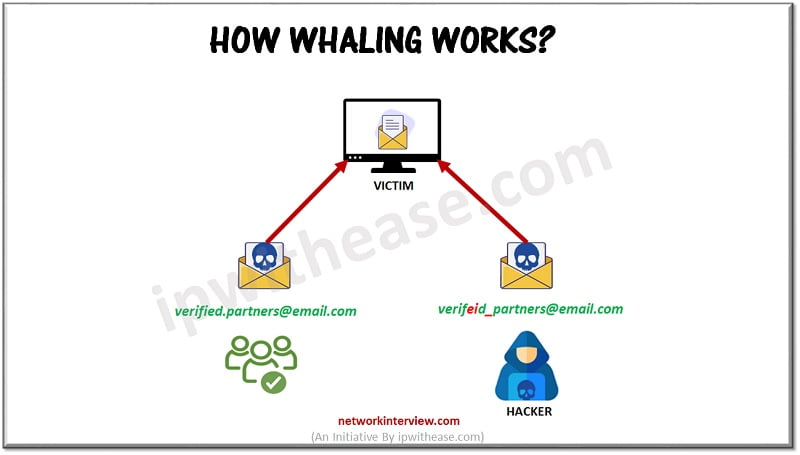 Spear Phishing vs Whaling: Cyber Attacks » Network Interview