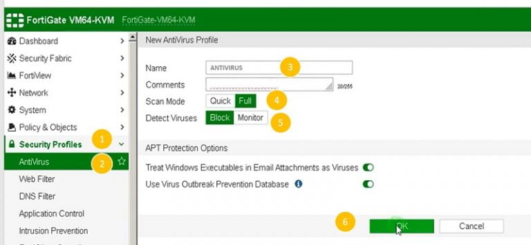 FortiGate UTM (Unified Threat Management) » Network Interview