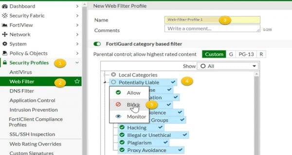 FortiGate UTM (Unified Threat Management) » Network Interview