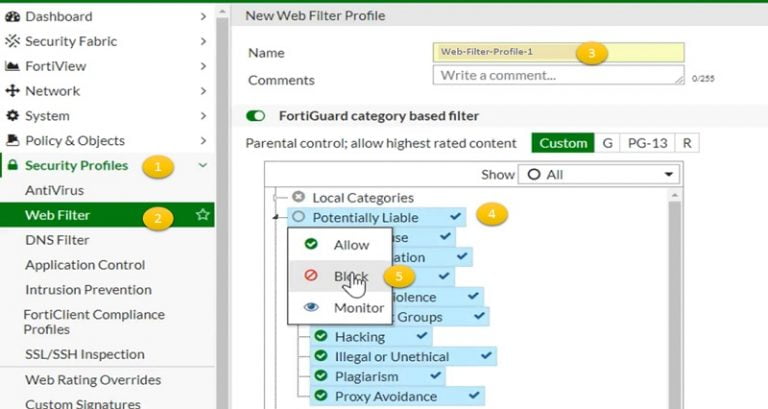 FortiGate UTM (Unified Threat Management) » Network Interview