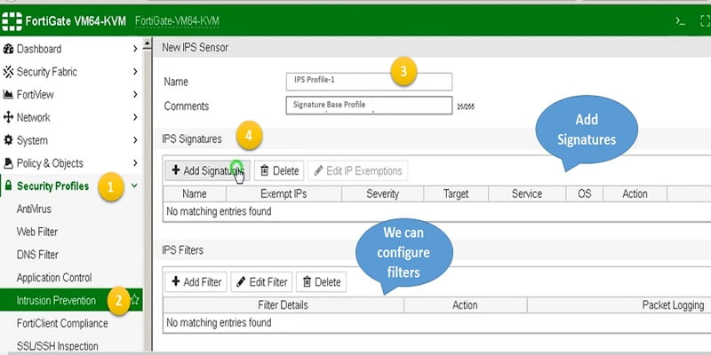 FortiGate UTM (Unified Threat Management) » Network Interview