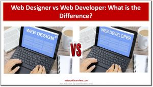 Web Designer vs Web Developer: Know the Difference » Network Interview