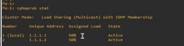 Checkpoint HA Active/Standby and Load Sharing in ClusterXL » Network ...