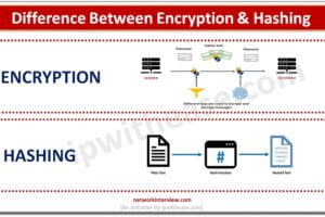 6 Types of Hackers » Network Interview