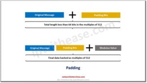 A Definitive Guide to SHA-256 (Secure Hash Algorithms) » Network Interview