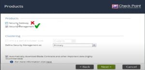 Checkpoint Deployment Modes » Network Interview