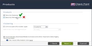 Checkpoint Deployment Modes » Network Interview