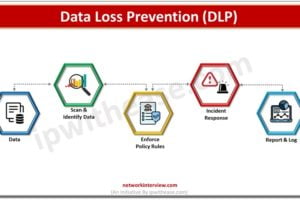 Top 10 Data Mining Tools » Network Interview