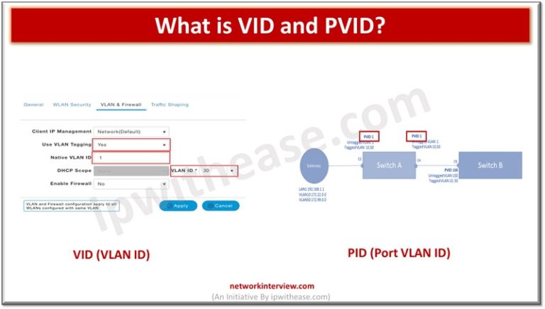 What is VID and PVID? » Network Interview