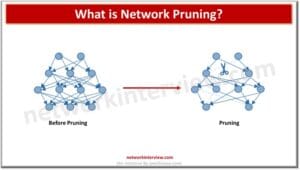 What is Network Pruning? Common Network Pruning Techniques » Network Interview