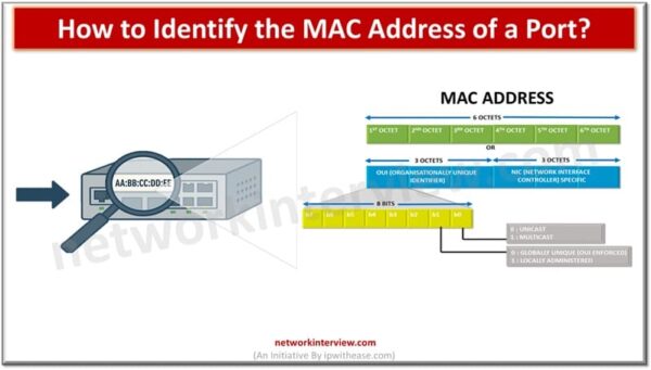 How to Identify the MAC Address of a Port? » Network Interview